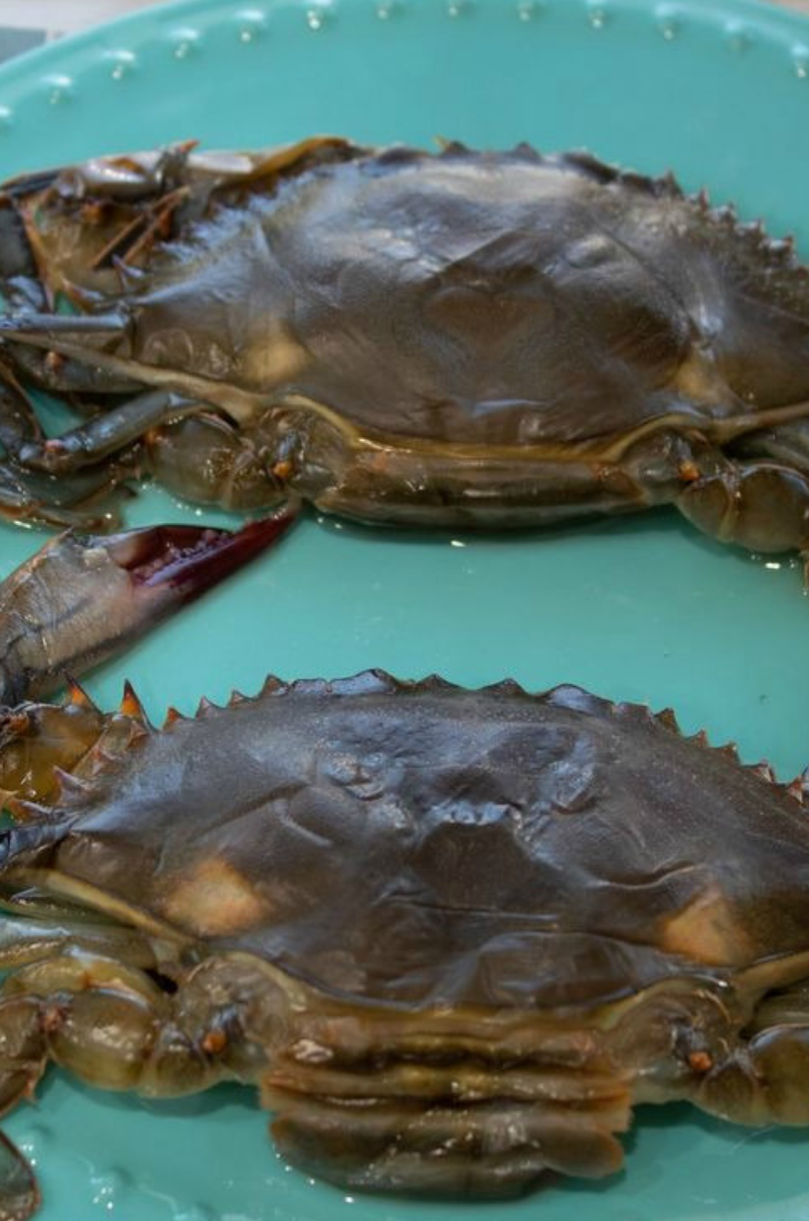 How To Clean Soft Shell Crabs This Ole Mom